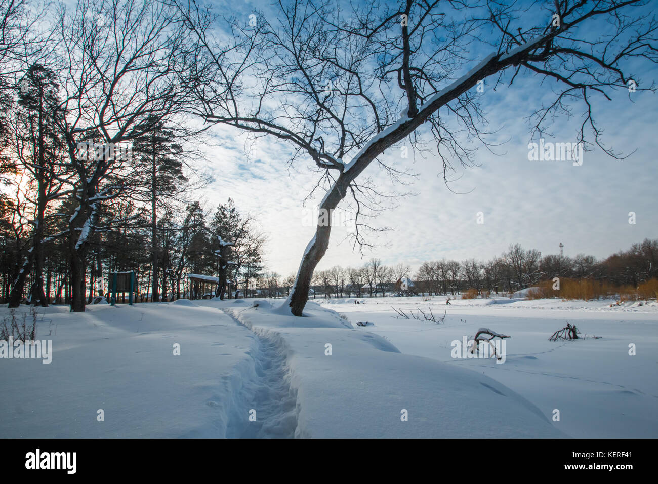 winter snowy landscape on the Russian river Stock Photo - Alamy