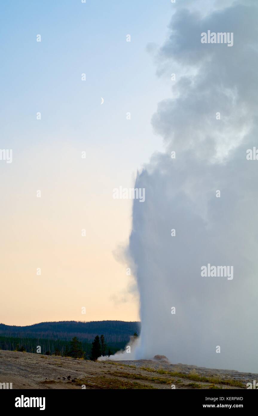 Old Faithful geyser in Yellowstone National Park, Usa Stock Photo - Alamy