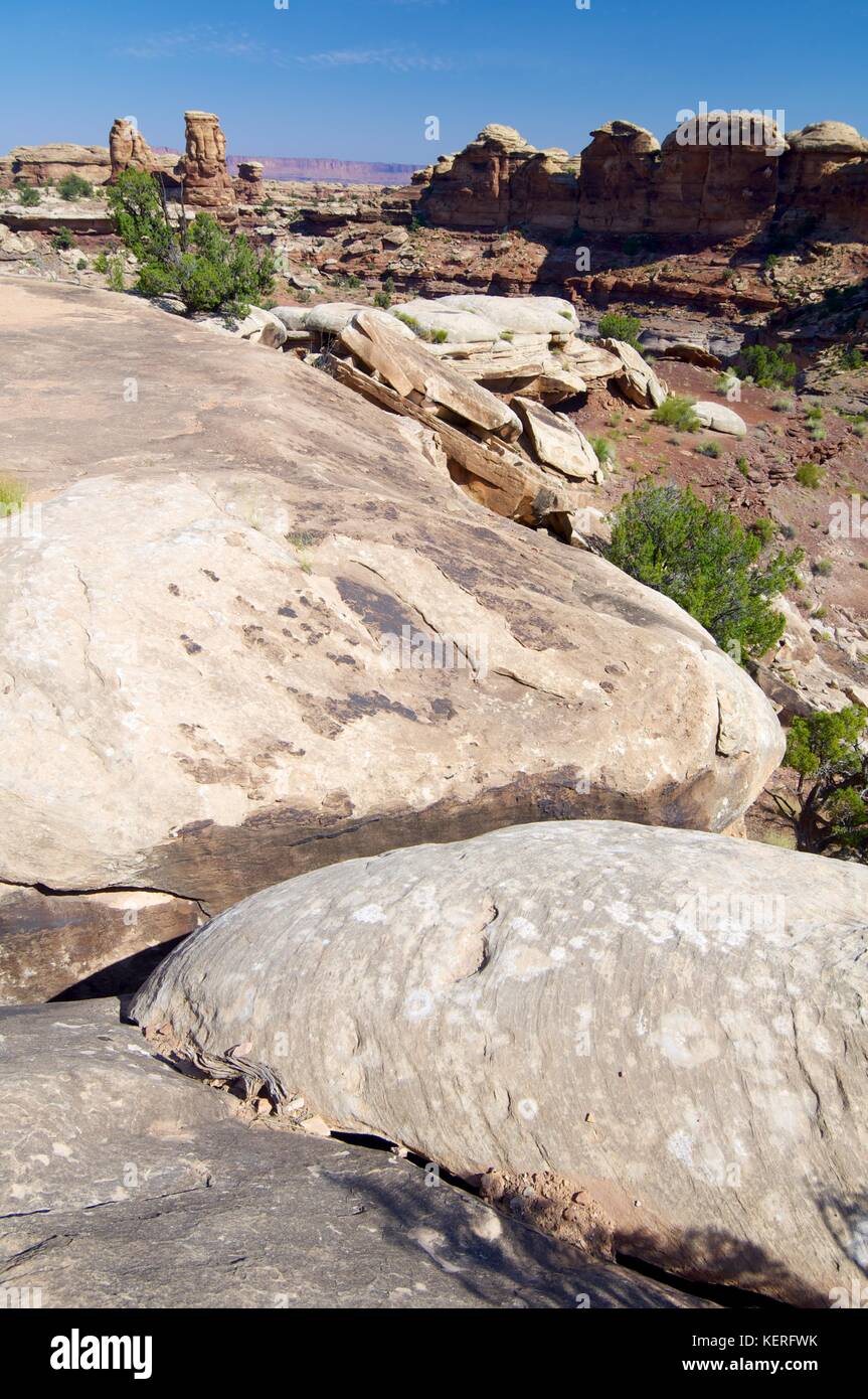 Rock formations in Canyonlands National Park, Utah, United States Stock ...