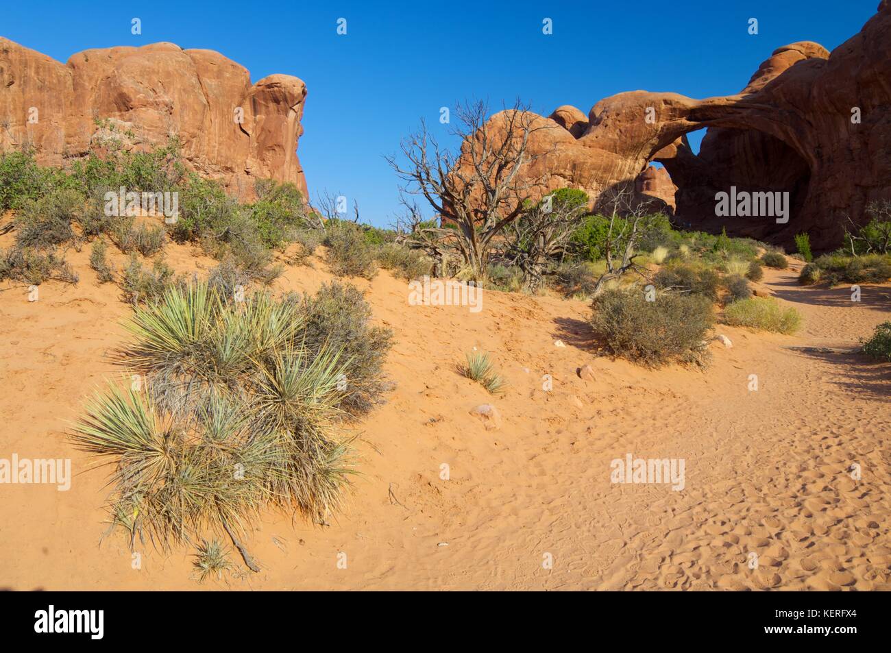 Triple Arches in Arches National Park, Utah, United States Stock Photo ...