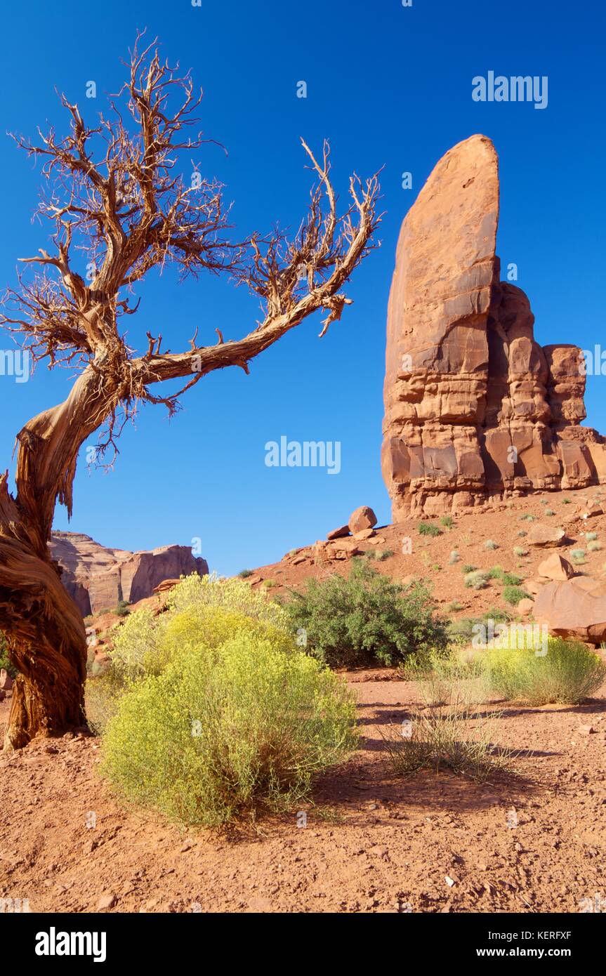 Sandstone tower in Monument Valley, Navajo Tribal Park, Usa Stock Photo ...