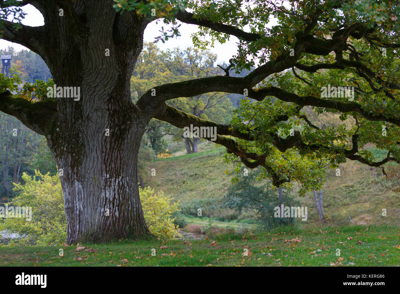 Vinga island with Vinga lighthouse and beacon Stock Photo - Alamy