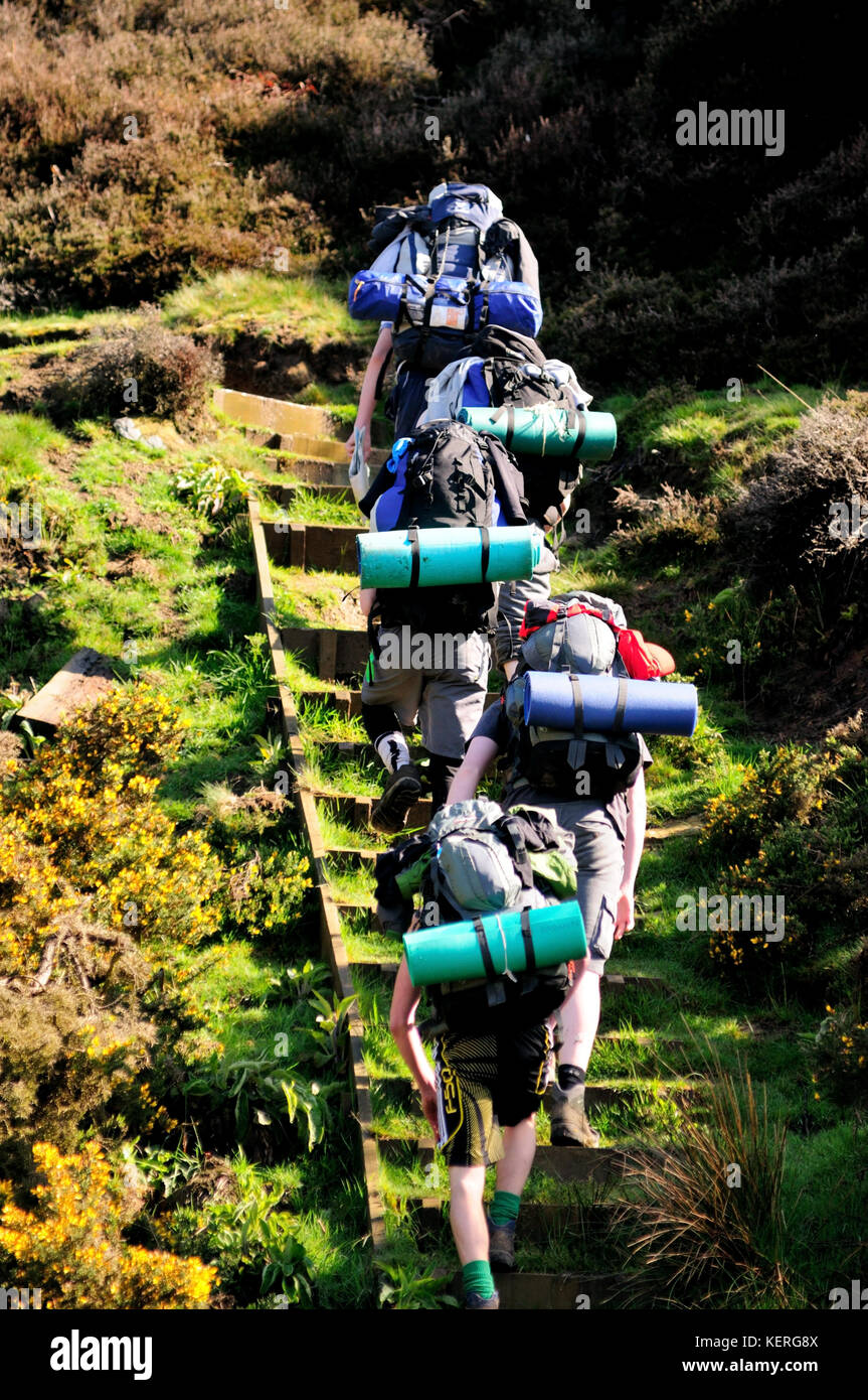 A group of walkers climbing wooden steps up a moorland hillside Stock ...