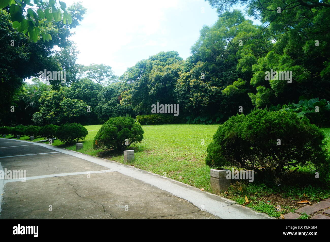 Parks, green plants, trees and scenery Stock Photo - Alamy