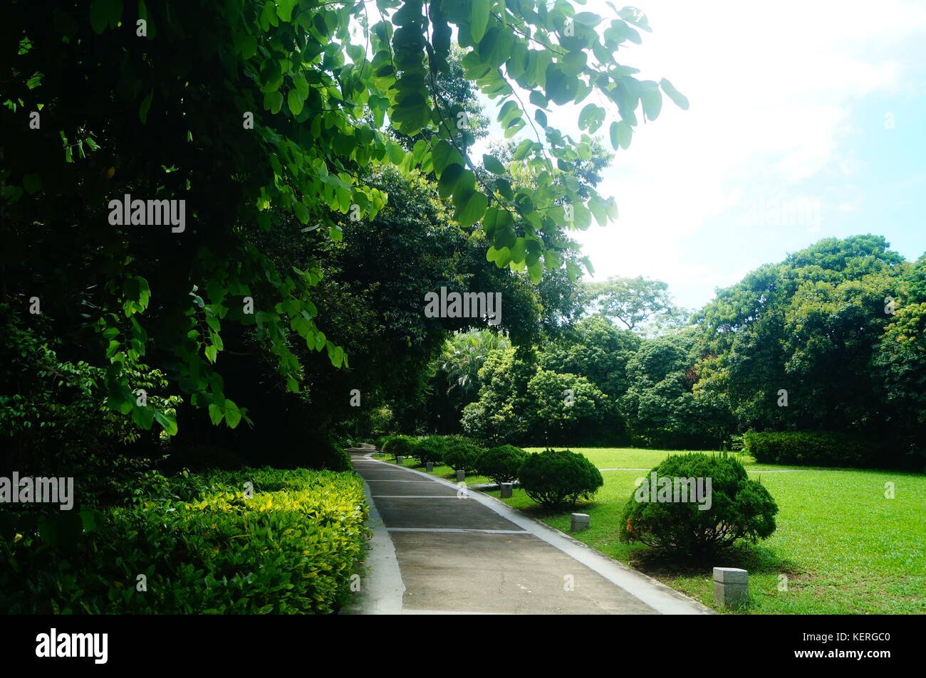 Parks, green plants, trees and scenery Stock Photo - Alamy