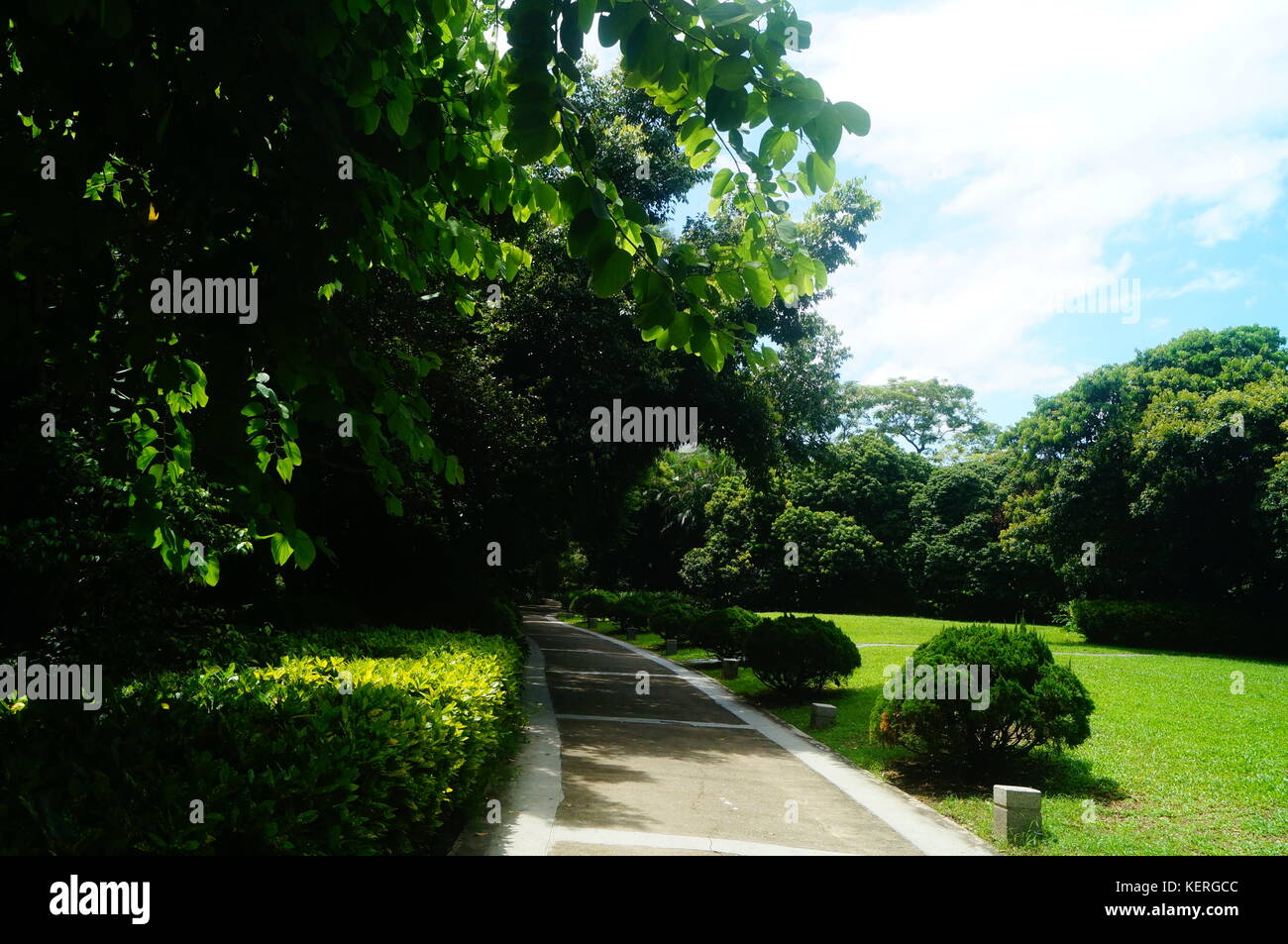 Parks, green plants, trees and scenery Stock Photo - Alamy