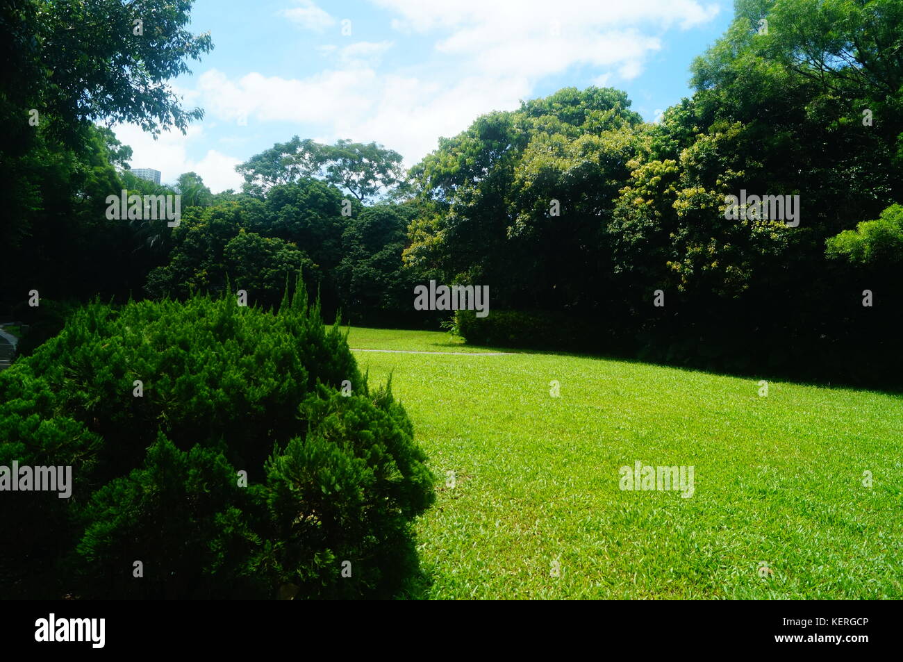 Parks, green plants, trees and scenery Stock Photo - Alamy