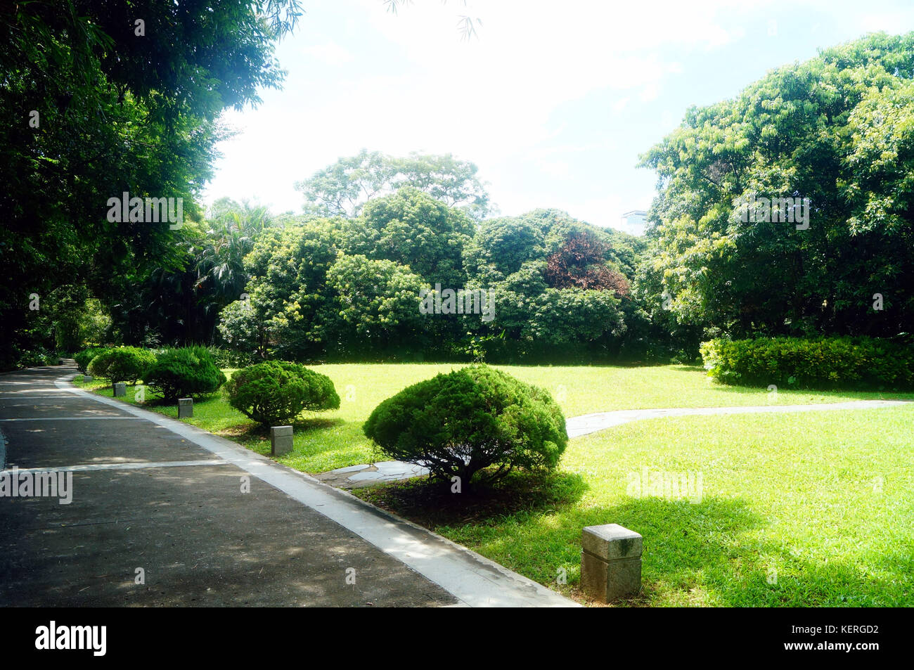 Parks, green plants, trees and scenery Stock Photo - Alamy