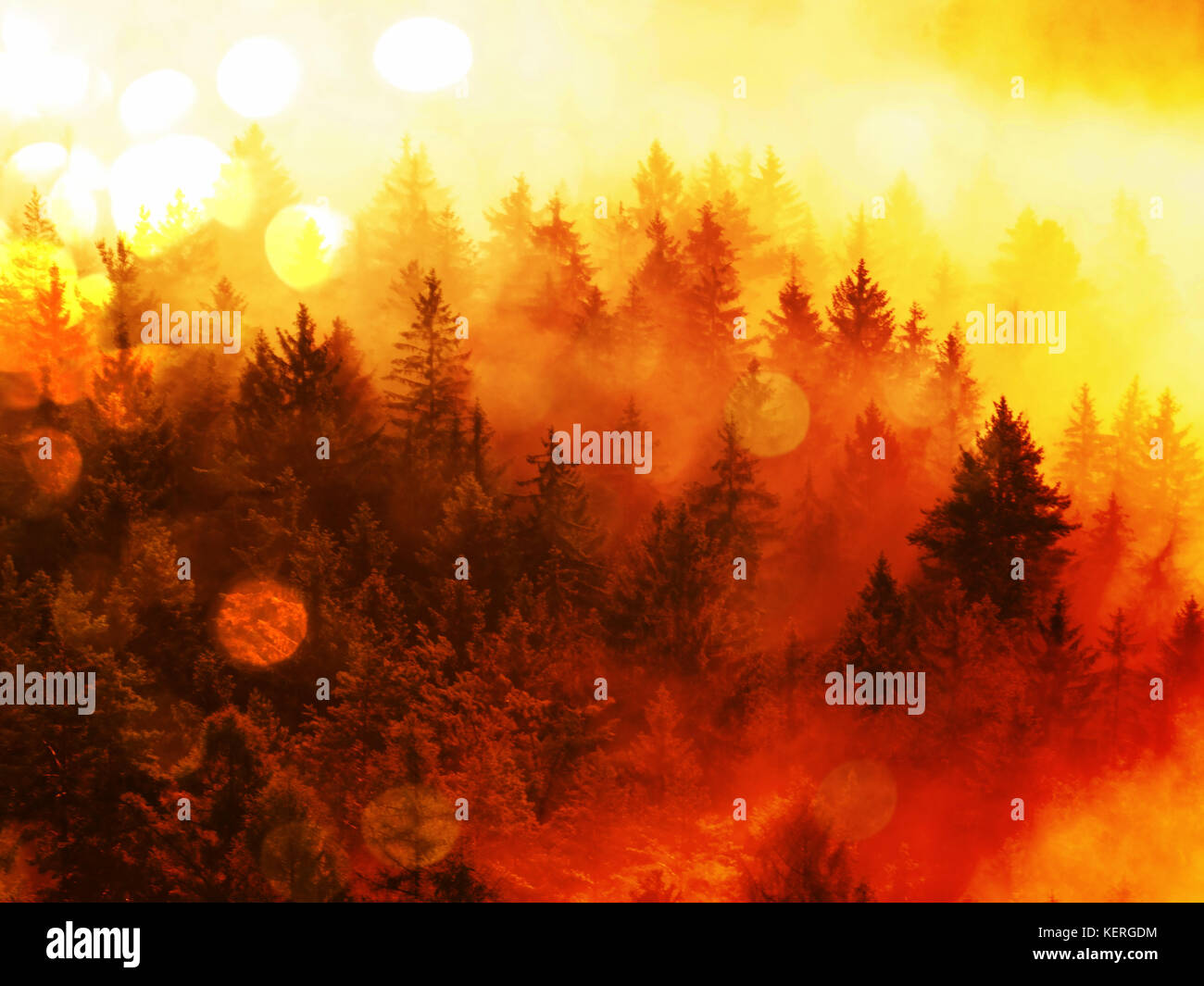 Flare, soft focus. Firing forest in rain. Treetops increased from smoke ...