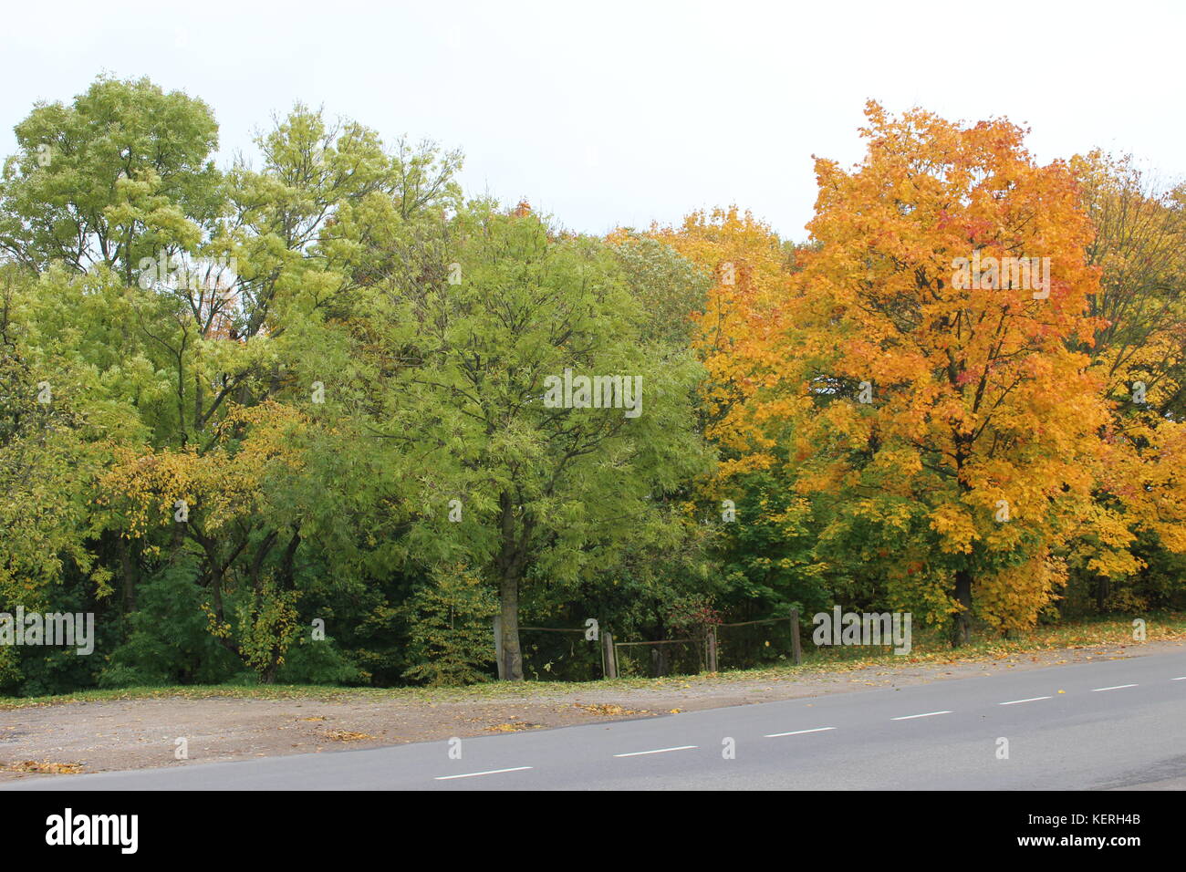 Amazing autumn in Kaunas, Lithuania Stock Photo - Alamy