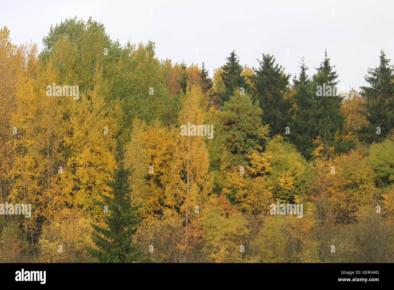 Amazing autumn in Kaunas, Lithuania Stock Photo - Alamy