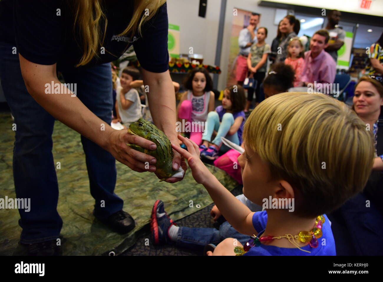 Kids pet massive African Bullfrog. SocialPromise, a non-profit ...
