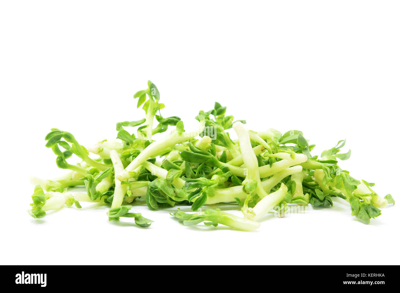 Fresh peanut sprouts isolated on white background Stock Photo - Alamy