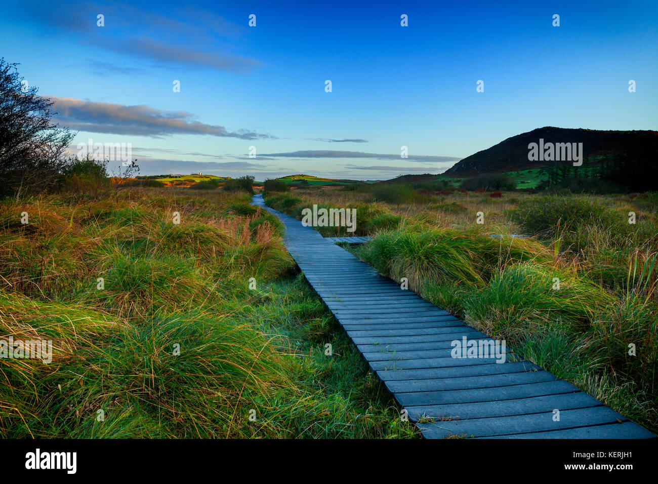 The Fenor Bog, Bought, Preserved and Constructed by the Fenor Community ...