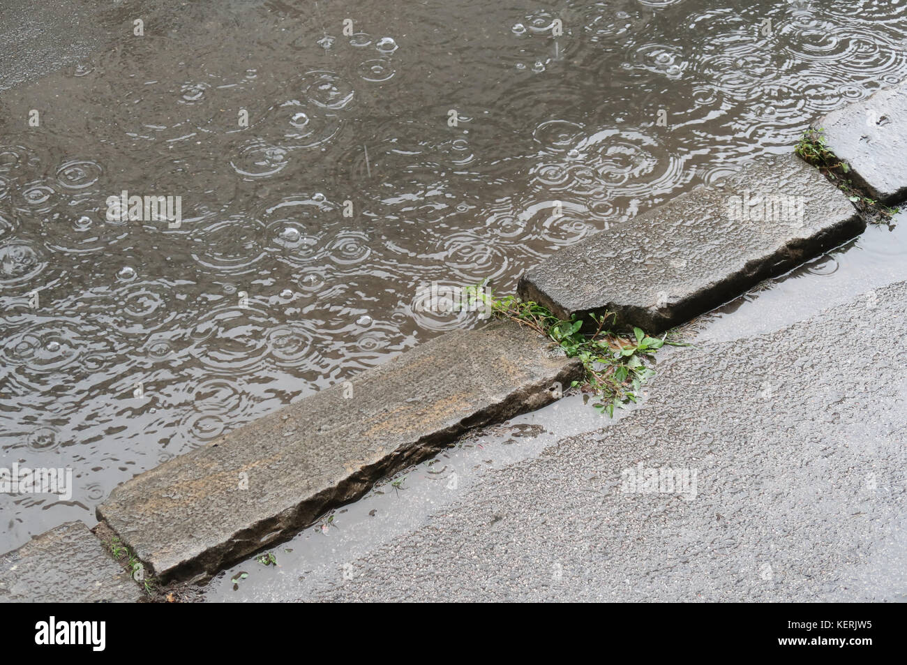 Rain in the street Stock Photo - Alamy