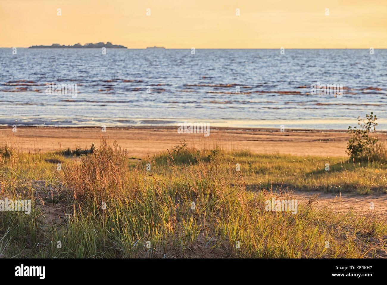 Grass on a deserted shore with signs of civilization far away, on the ...