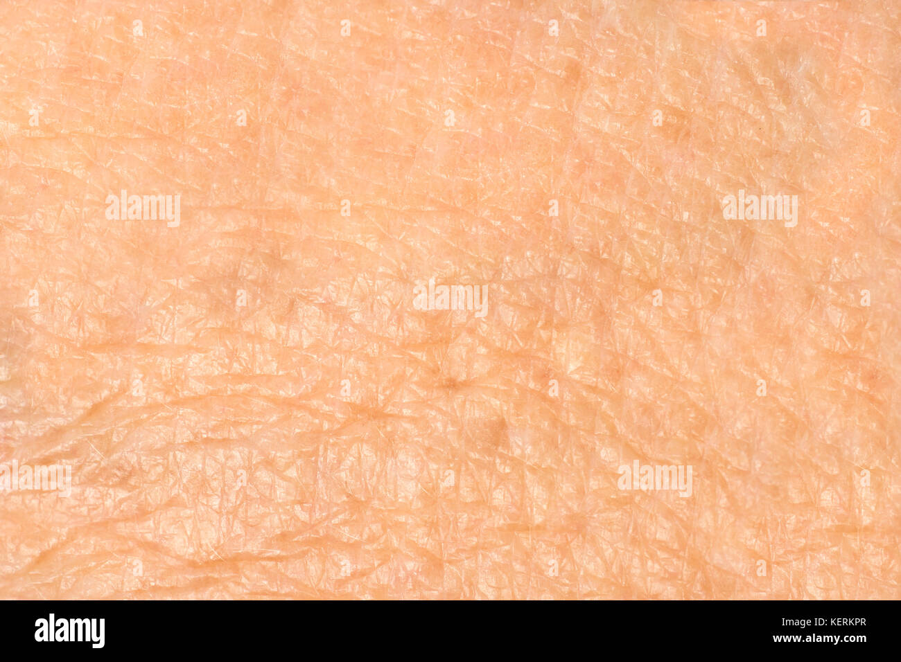 Texture of the skin, macro Stock Photo - Alamy