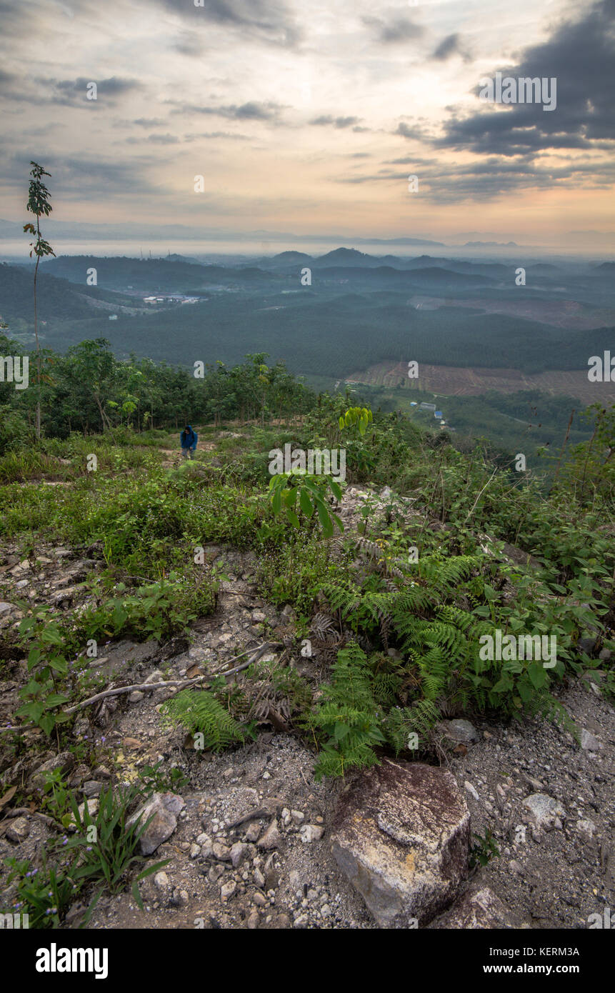 Seladang hi-res stock photography and images - Alamy