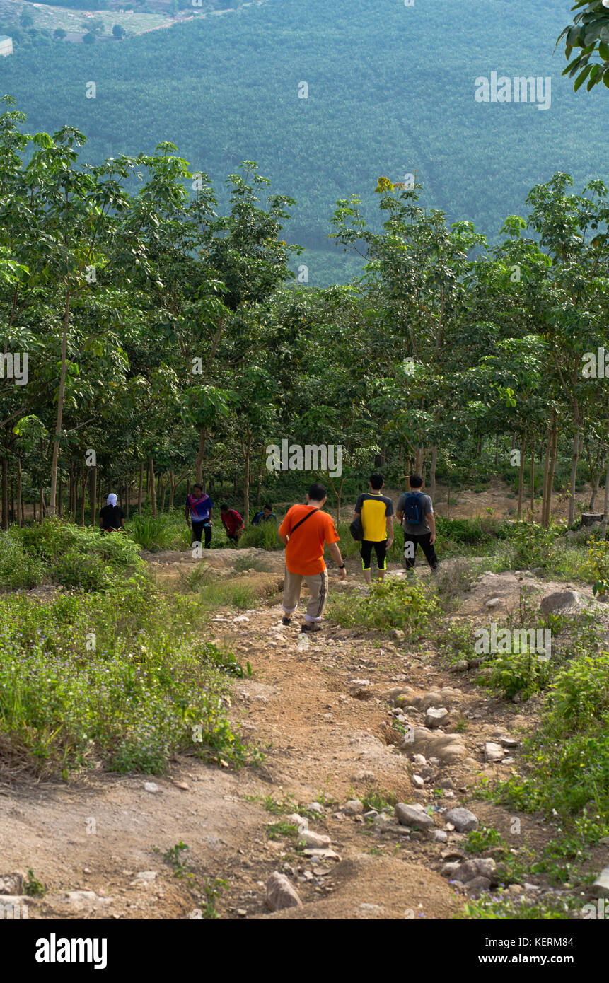 Rubber estate hi-res stock photography and images - Alamy