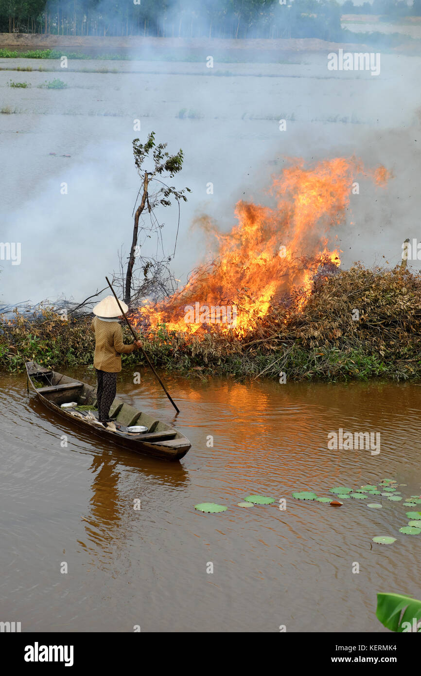 Asian woman on row boat, burn dry tree, dried leaves to cleaning field ...