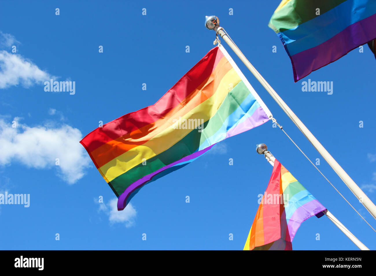 A rainbow multicolor flag The symbol LGBT is fluttering in the wind ...