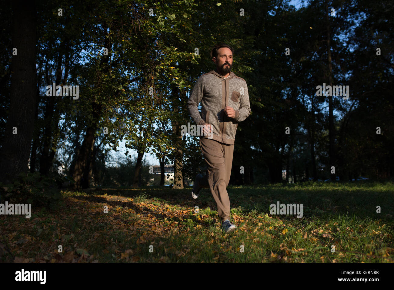 Healthy lifestyle, man running on grass in the forest Stock Photo - Alamy