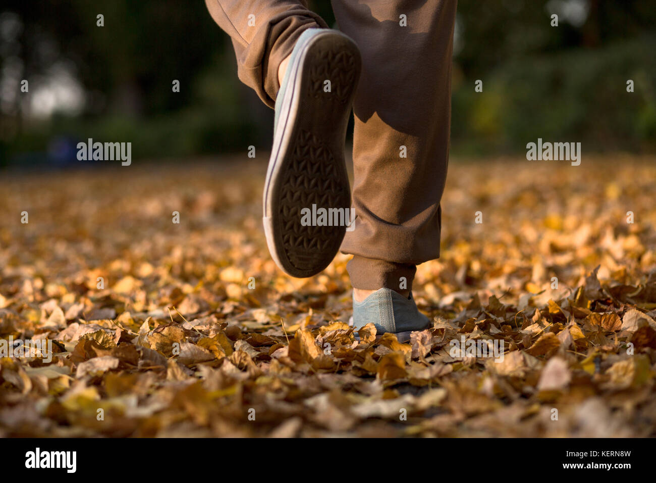 Mans legs running on dry leaves Stock Photo - Alamy