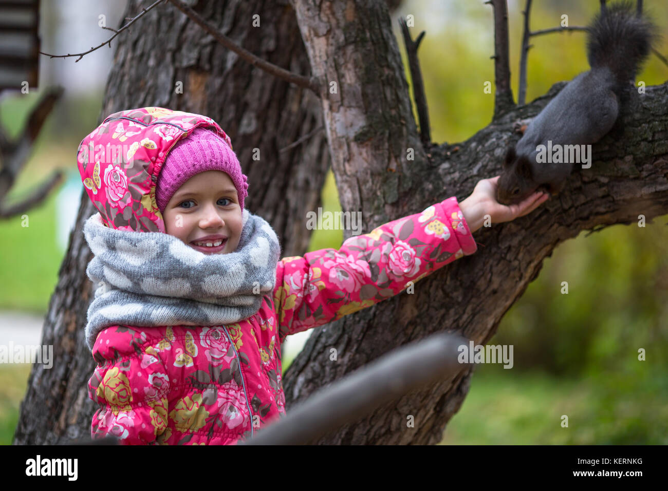 Little girl with hand feeding a squirrel in the Park Stock Photo - Alamy