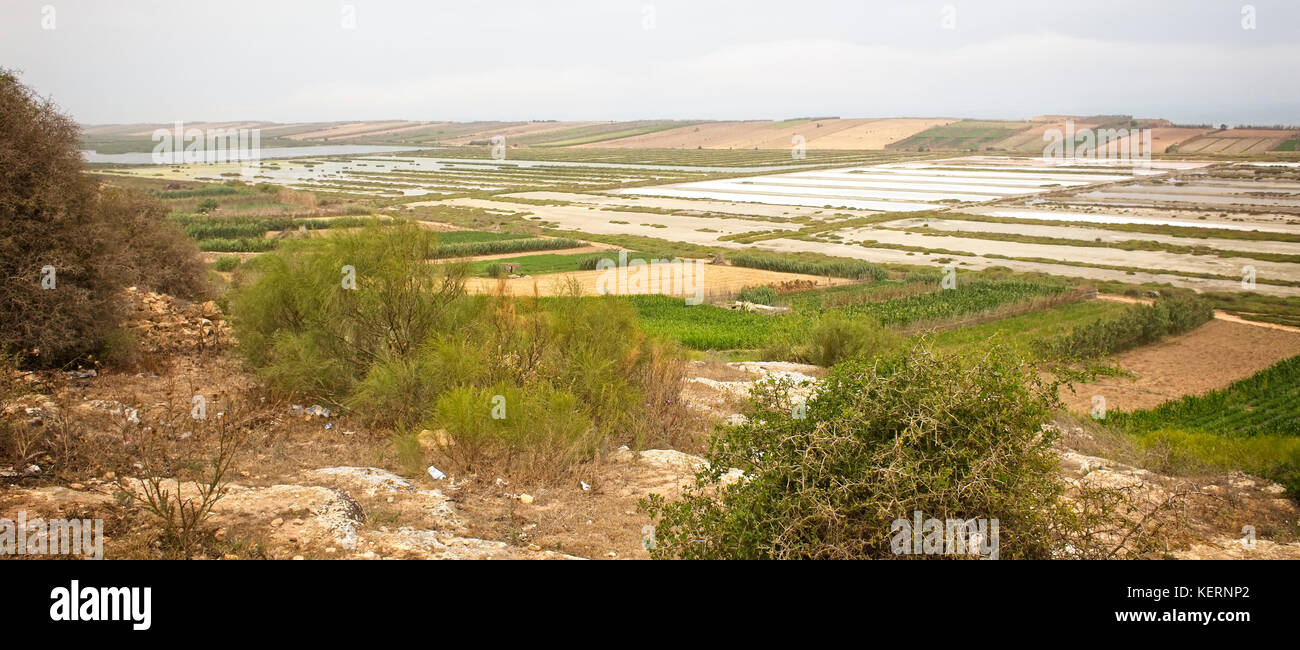 Oualidia hi-res stock photography and images - Alamy