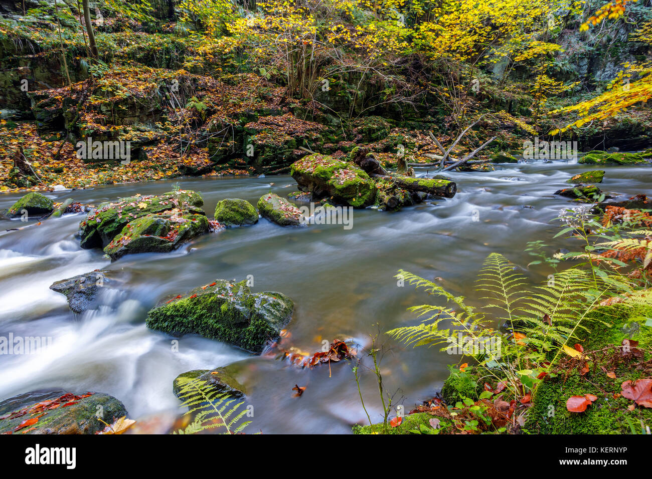 czech mountain wild river Doubrava in Czech Republic with slow shutter ...