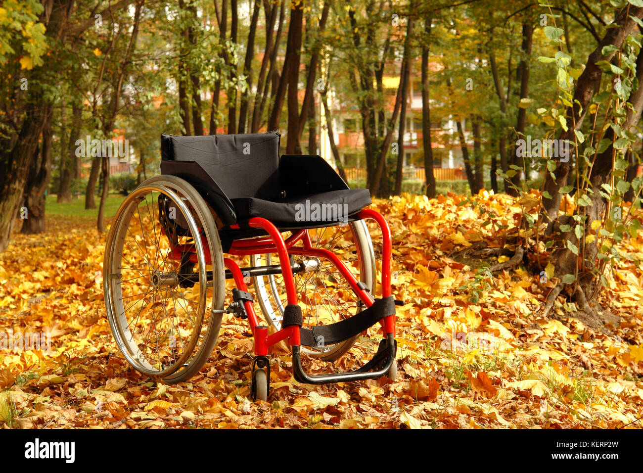 Empty active wheelchair in the park in fall time Stock Photo - Alamy
