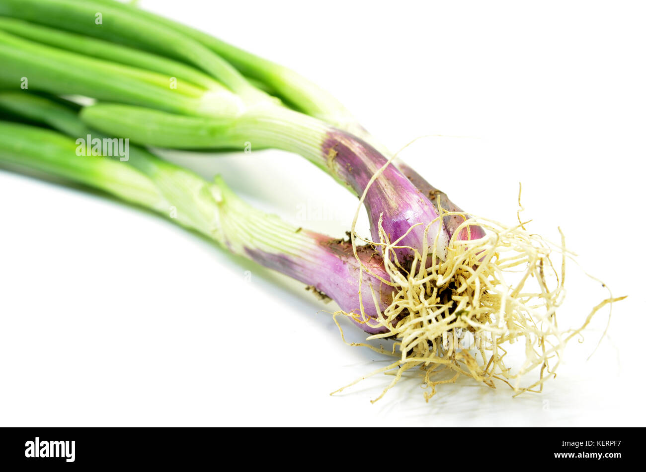 Fresh spring onions isolated over white background Stock Photo - Alamy