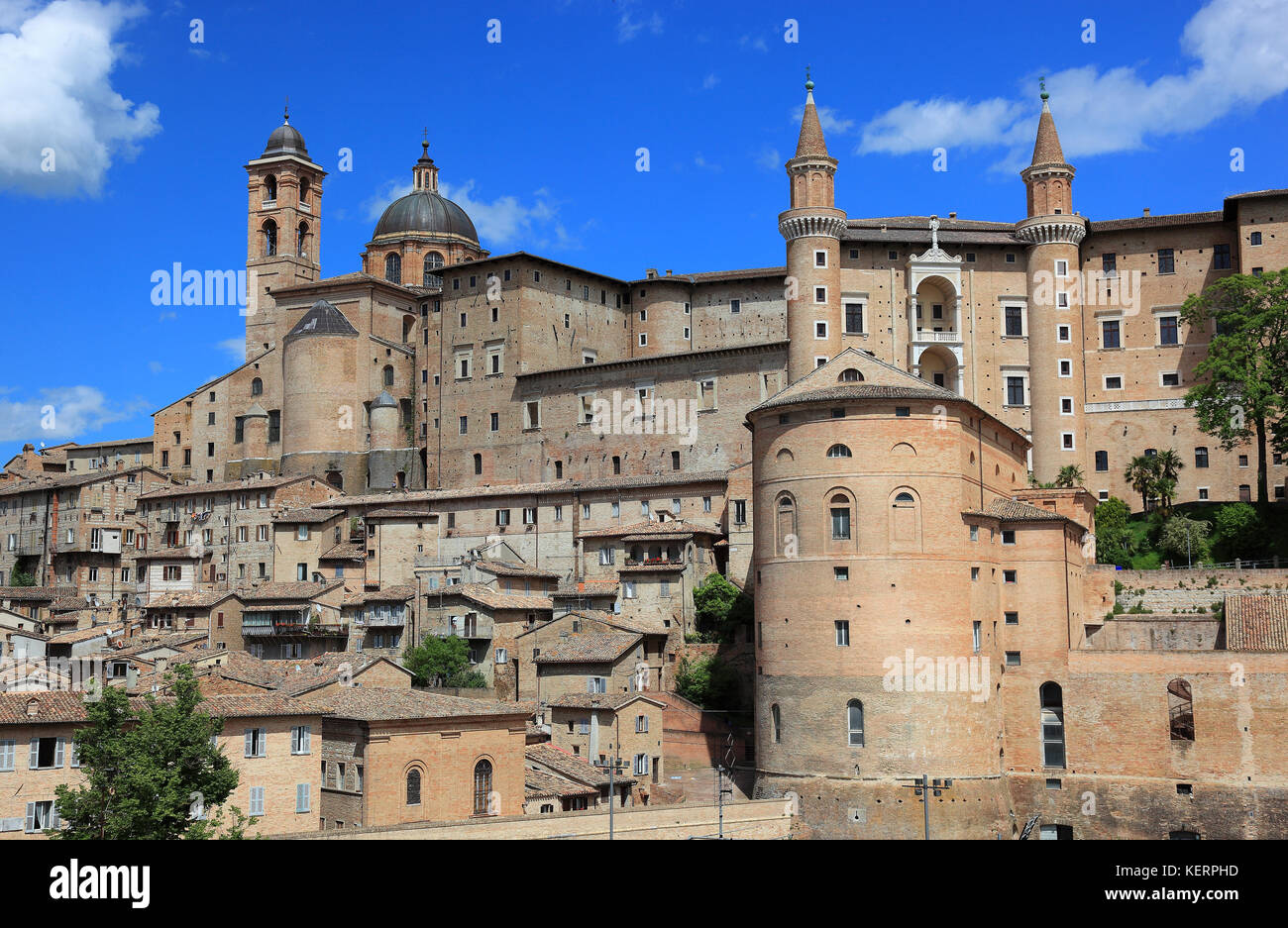 View of Urbino, with the Ducal Palace, Palazzo Ducale and the Cathedral ...