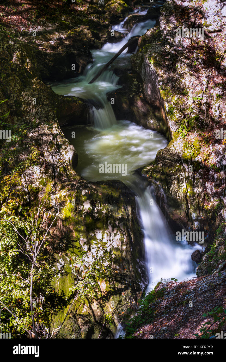 waterfall on a mountain river through the Yellow Keys. Romania Stock ...