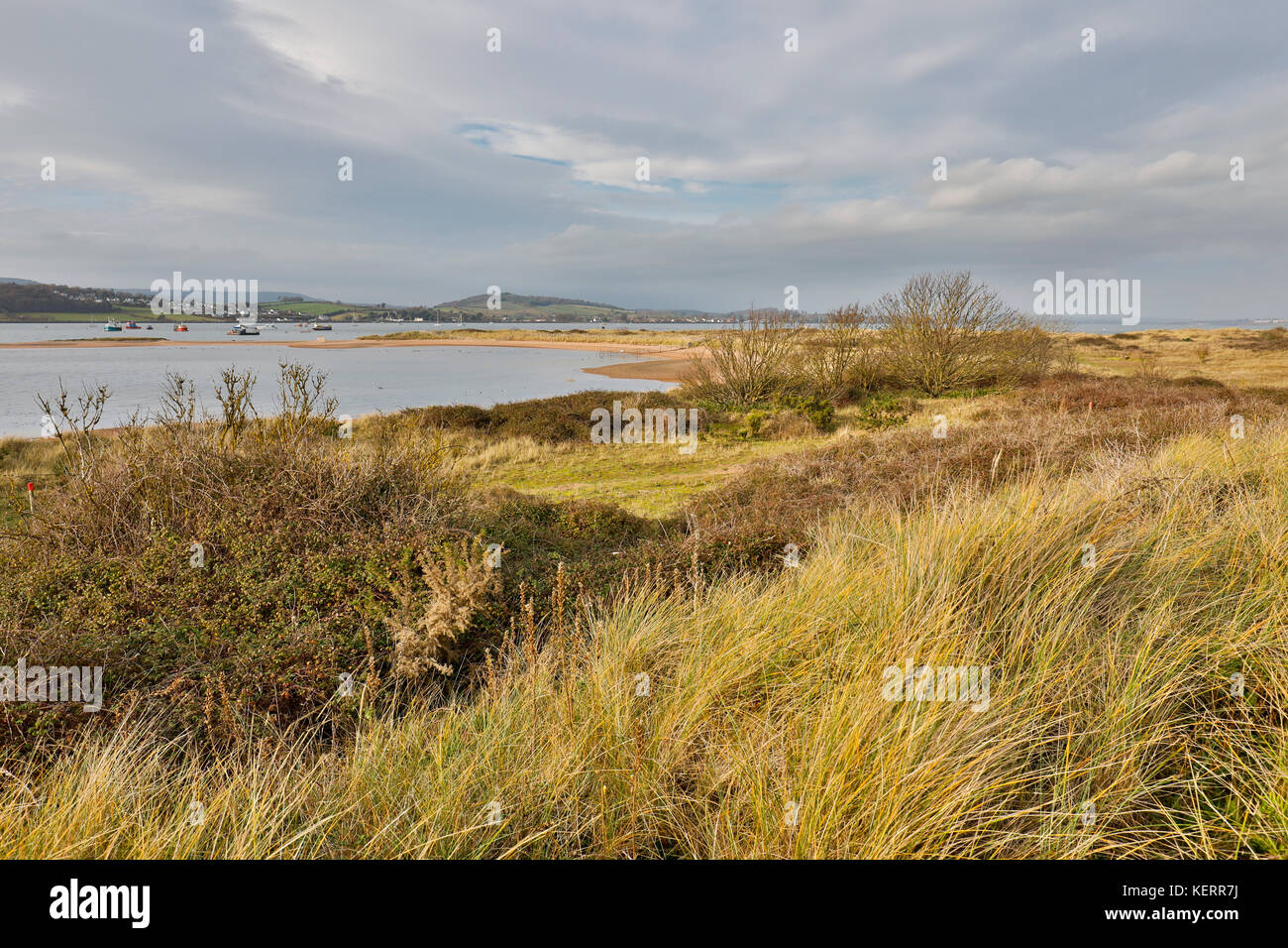 Dawlish Warren; Devon; UK Stock Photo - Alamy