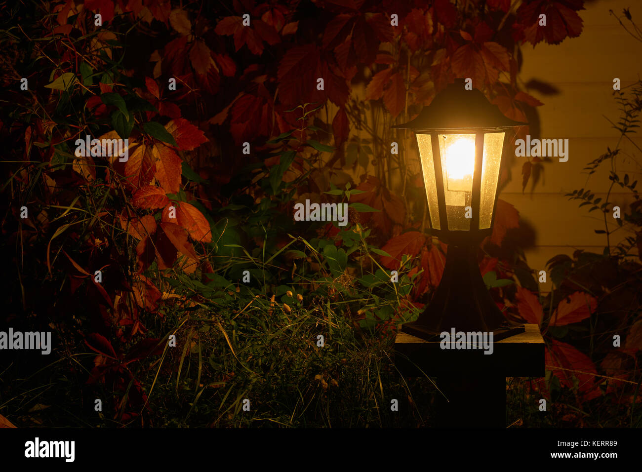 Night fall leaves hi-res stock photography and images - Alamy