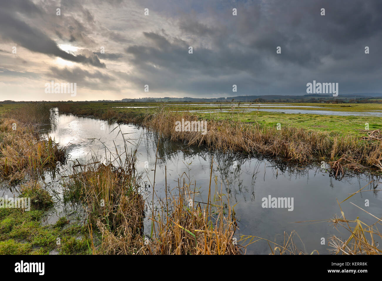 Exminster; Marsh; Devon; UK Stock Photo - Alamy