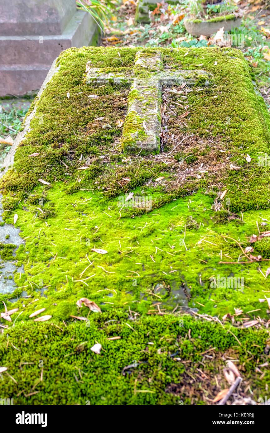 Old forgotten tombstone covered with moss Stock Photo - Alamy