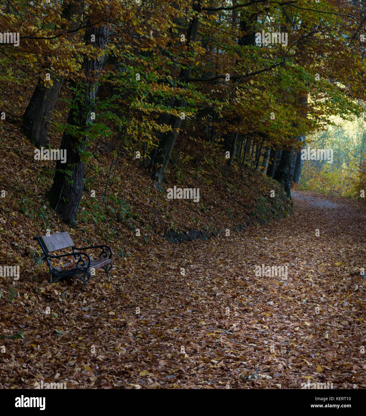 Bench in a park in autumn Stock Photo - Alamy