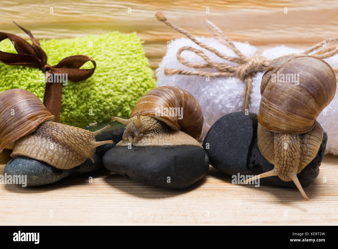 three snail sits on a stone for spa treatments on a towel background ...