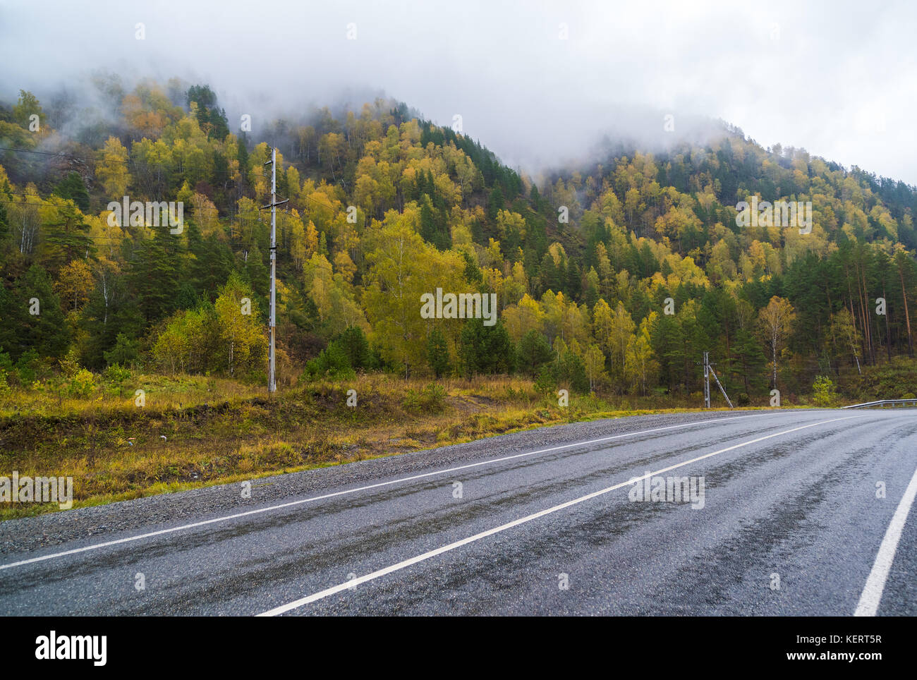 Federal highway M-52 Chuysky tract, asphalt road with markings among ...