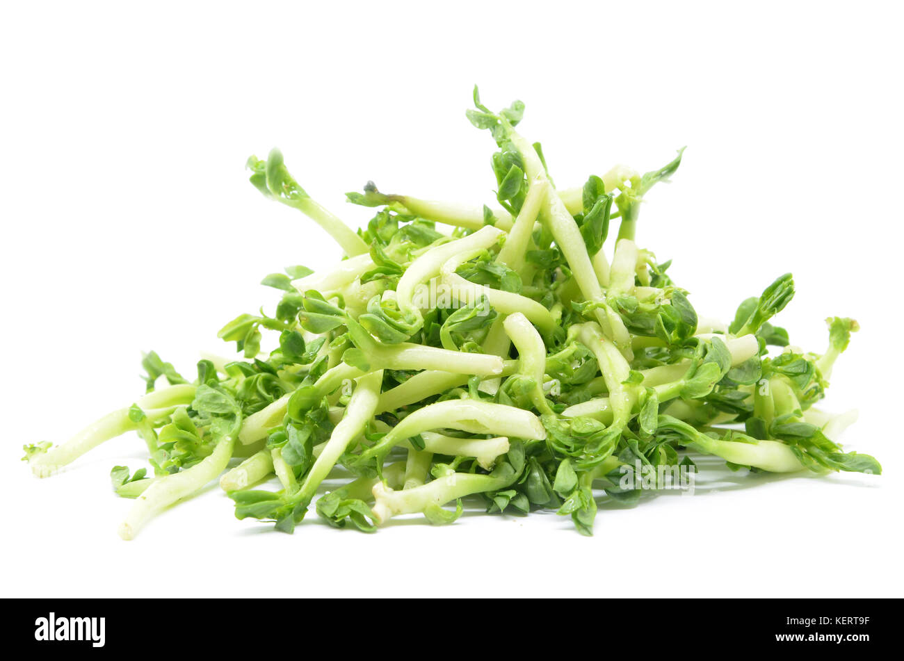 Fresh peanut sprouts isolated on white background Stock Photo - Alamy