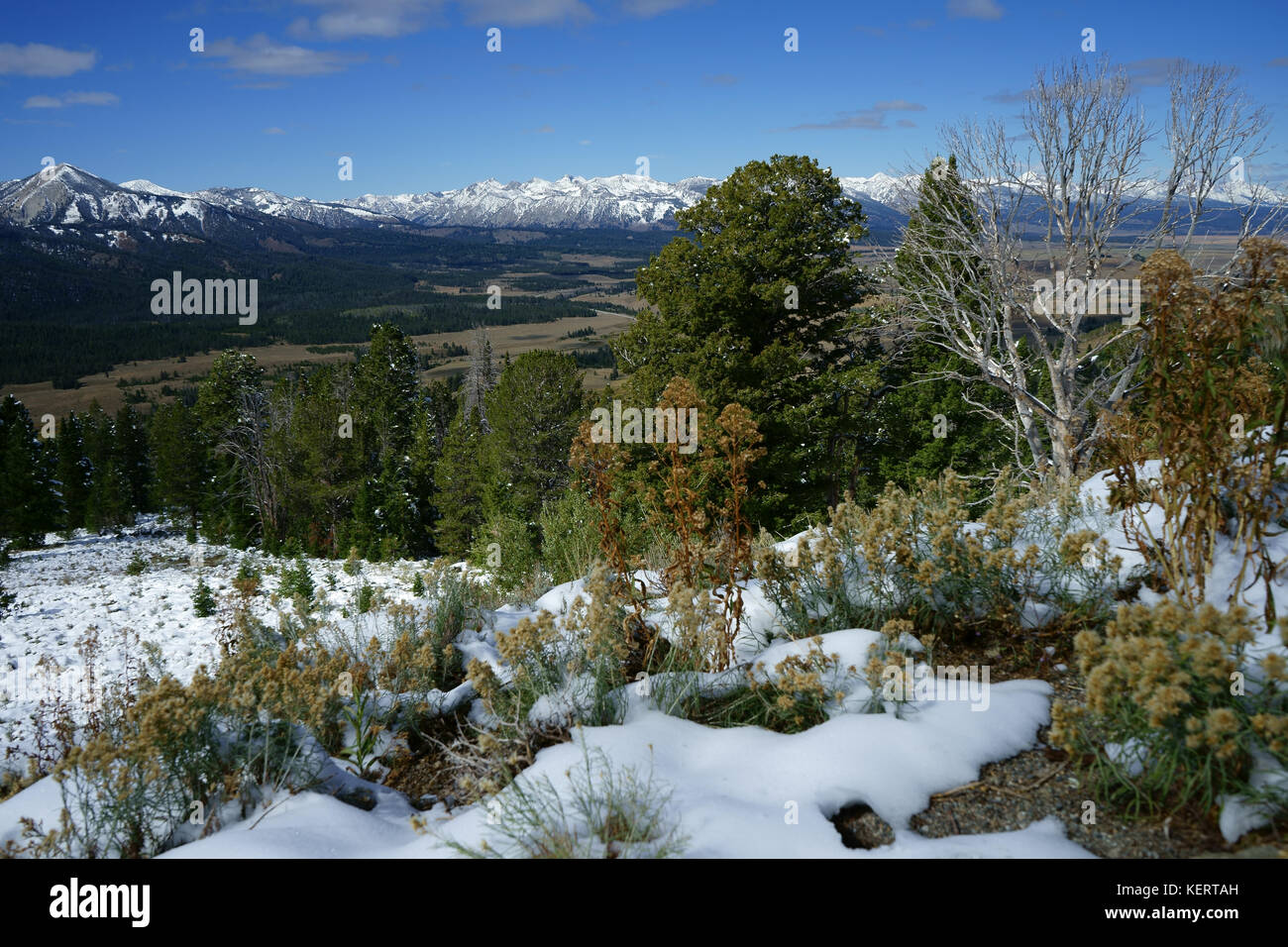 Sawtooth National Recreation Area on Headwater of upper Big Salmon ...