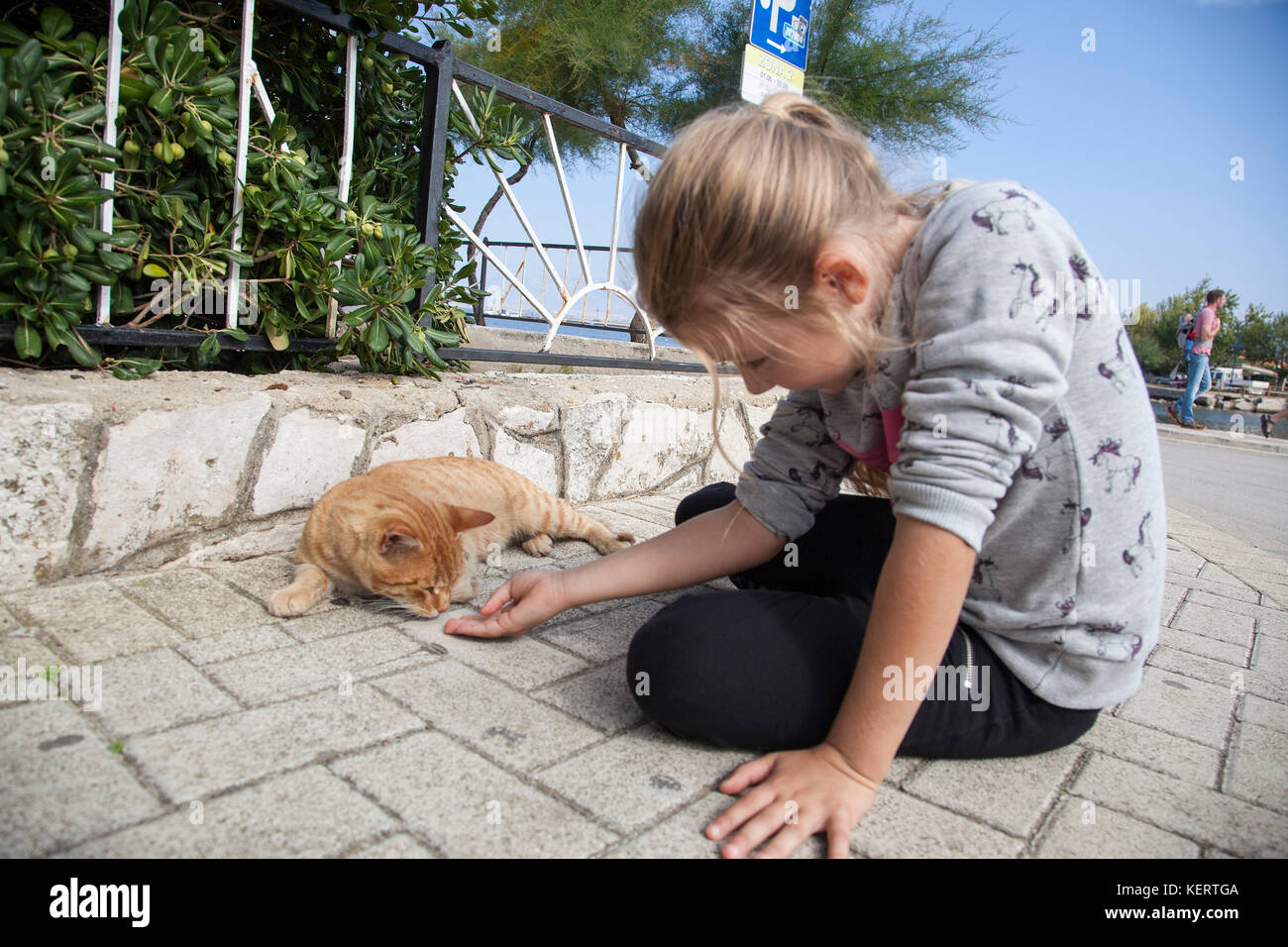Girl with a cat, Nin, Croatia Stock Photo - Alamy
