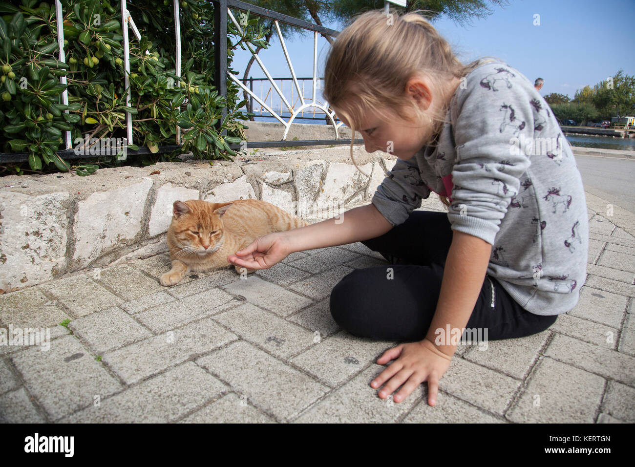 Girl with a cat, Nin, Croatia Stock Photo - Alamy
