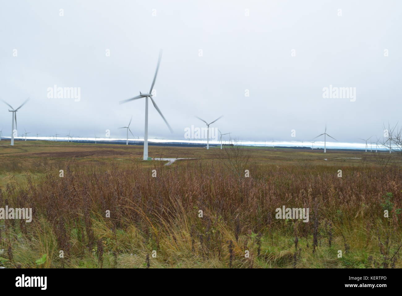 Electricity generating turbines, Whitelee Wind Farm, Eaglesham Moor ...