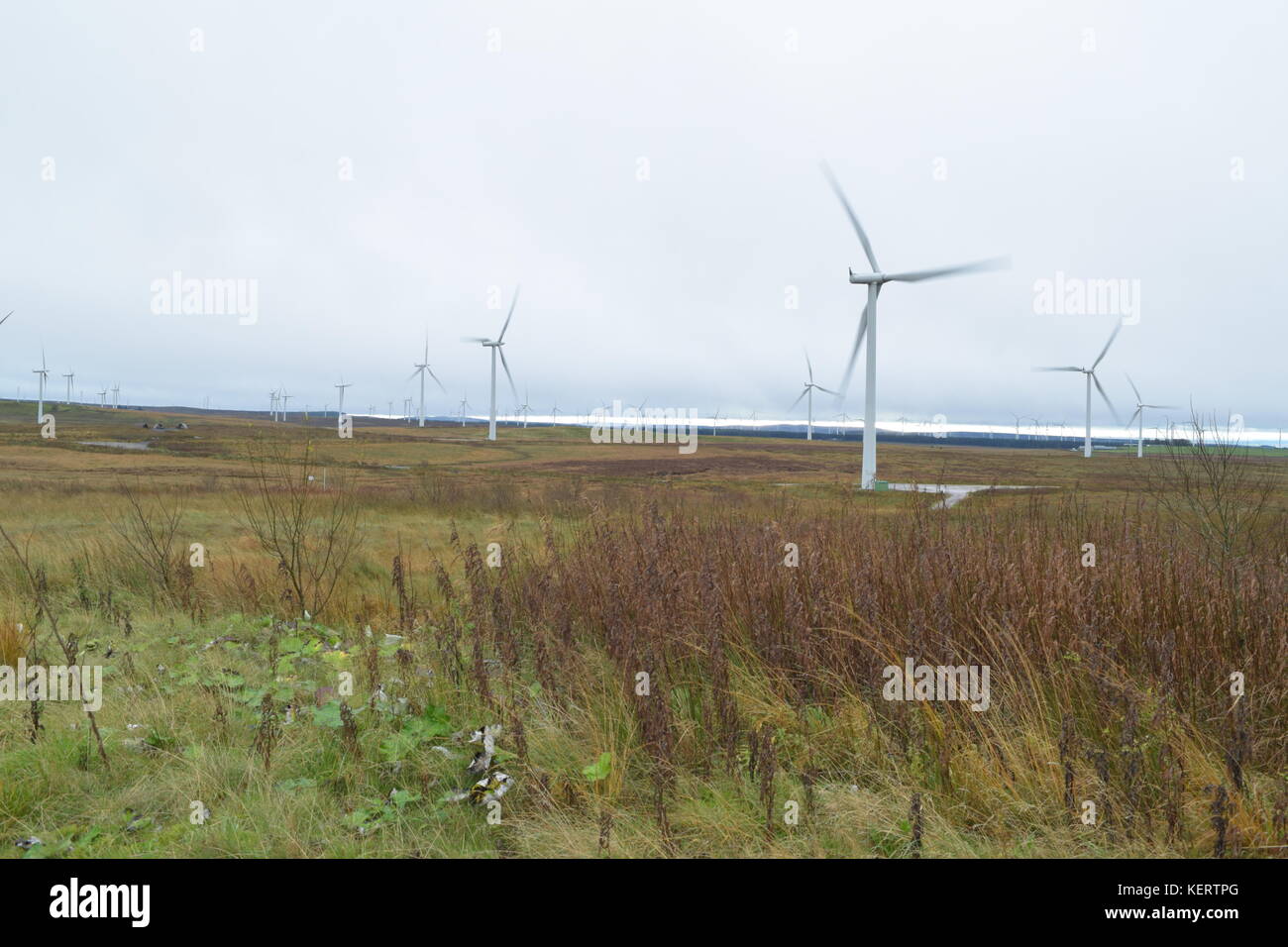 Electricity generating turbines, Whitelee Wind Farm, Eaglesham Moor ...