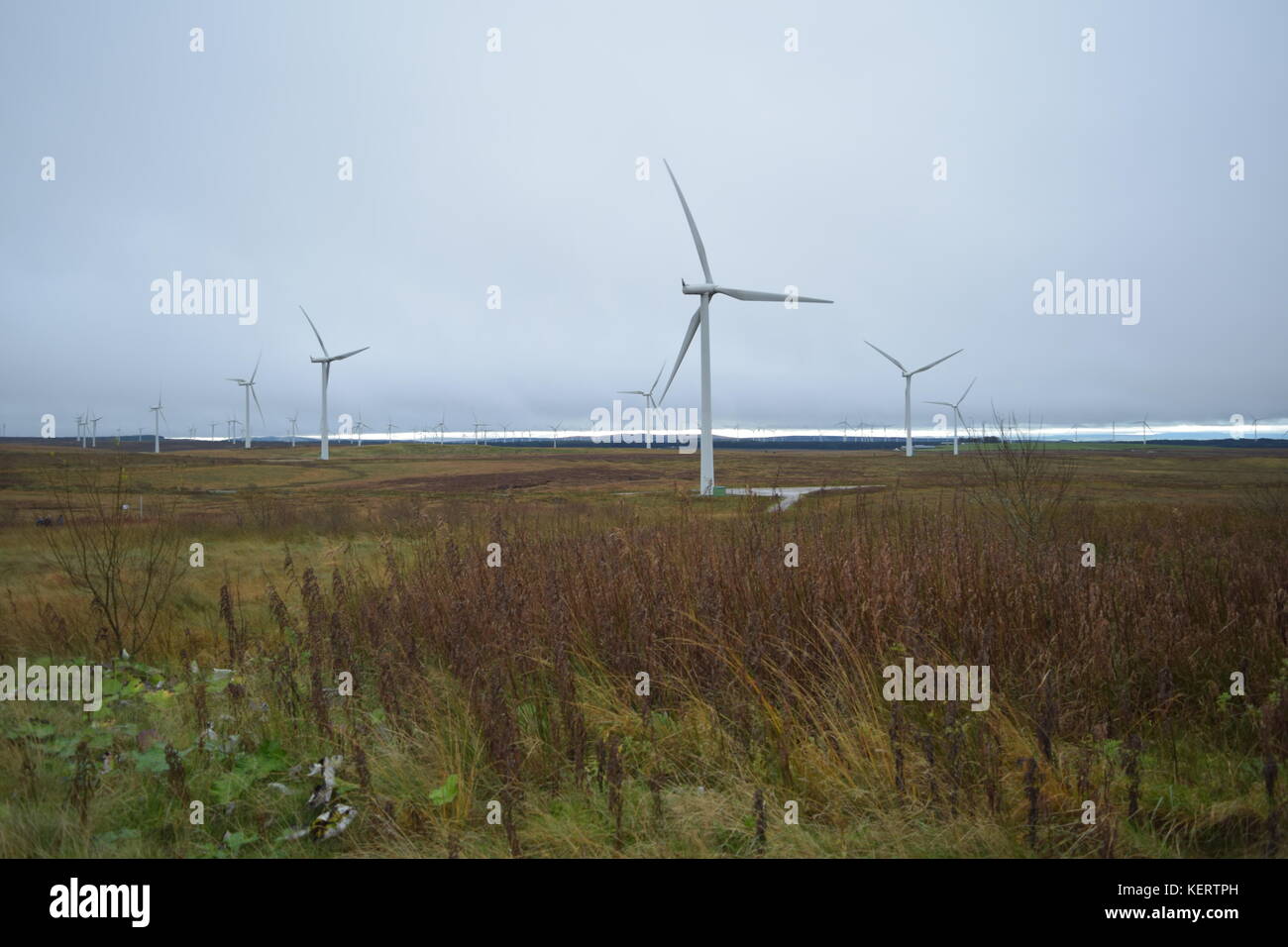 Electricity generating turbines, Whitelee Wind Farm, Eaglesham Moor ...