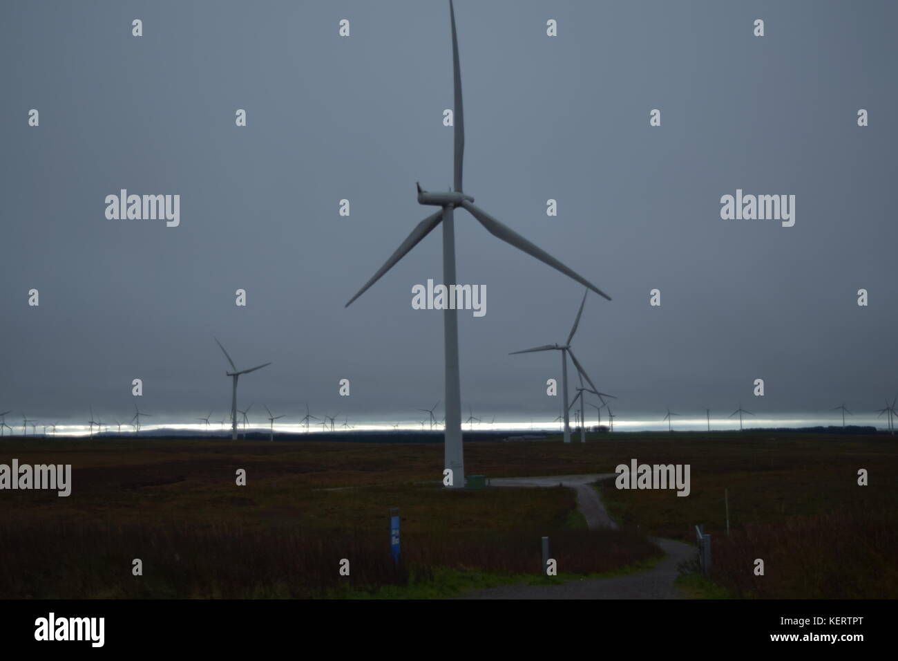 Electricity generating turbines, Whitelee Wind Farm, Eaglesham Moor ...