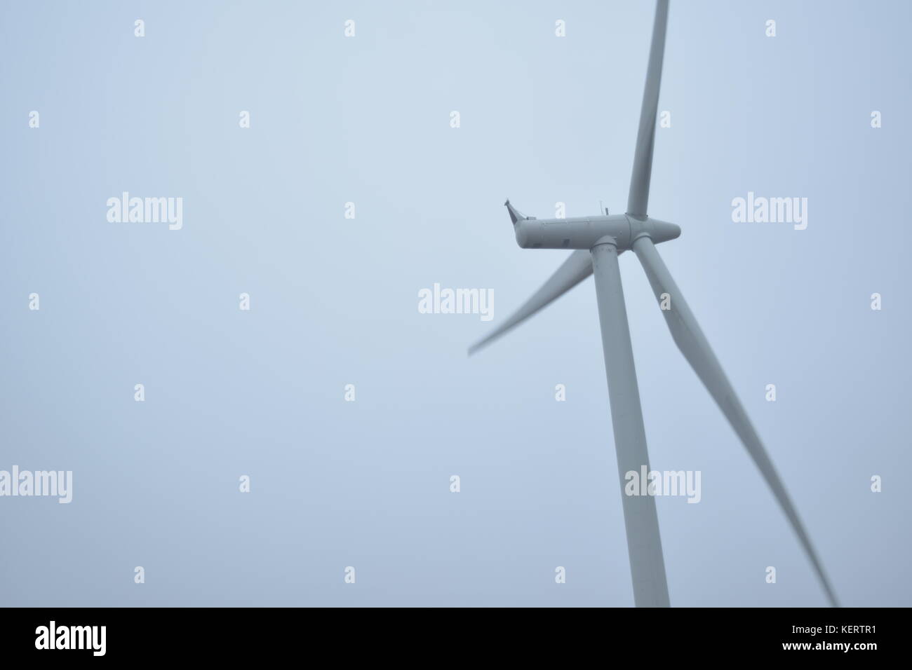 Electricity generating turbines, Whitelee Wind Farm, Eaglesham Moor ...